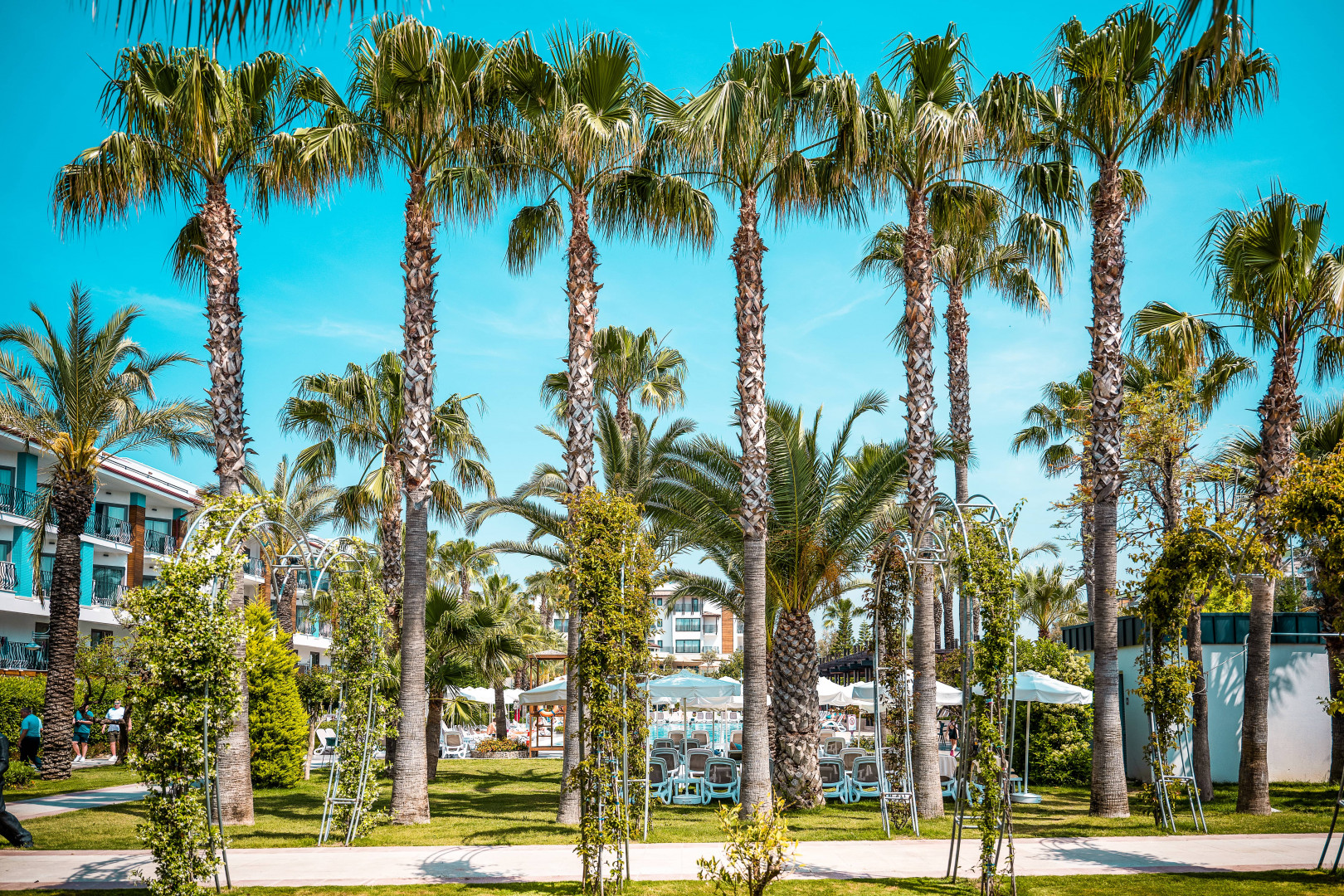 Belek Beach Resort Hotel 5*